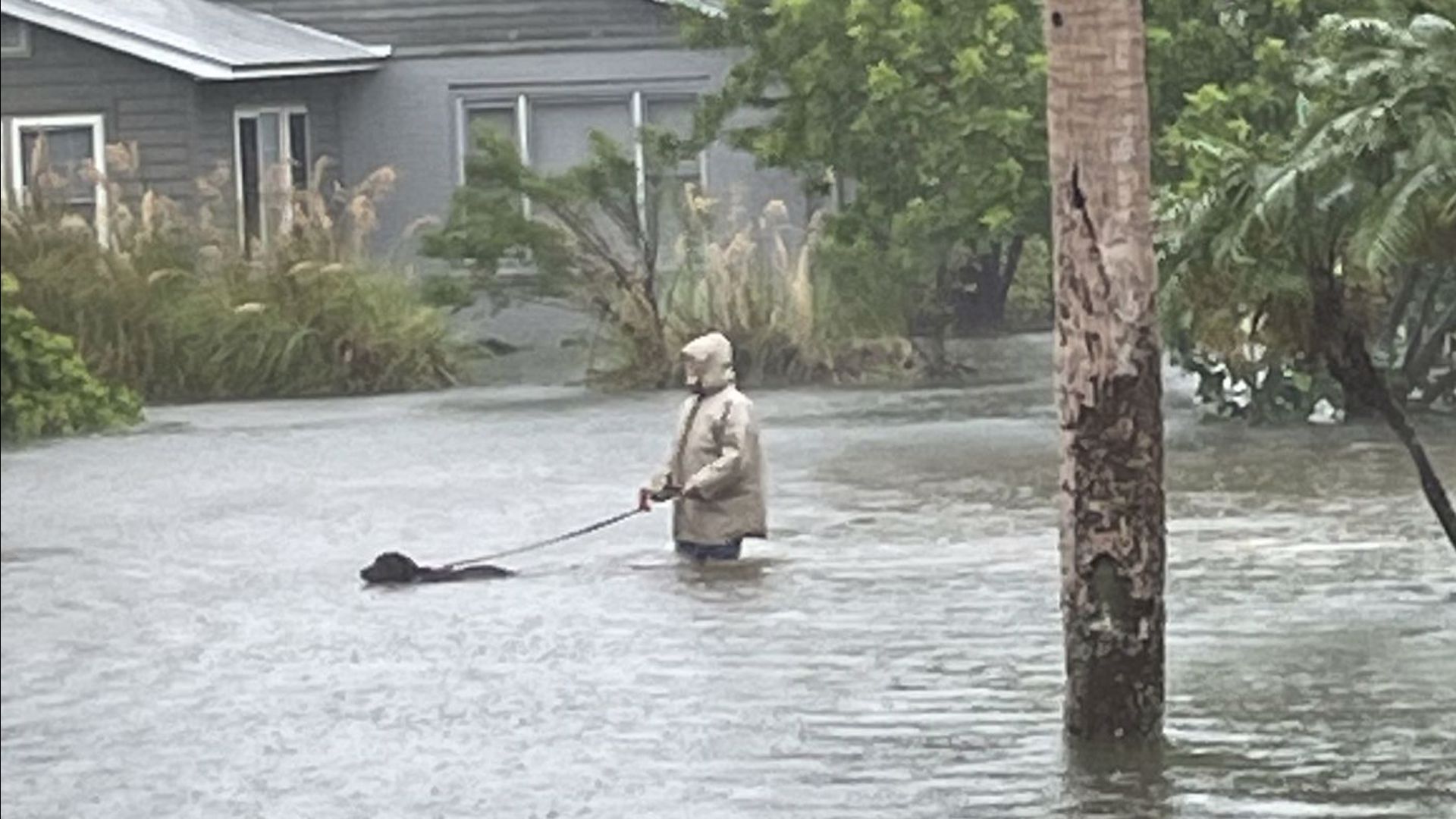 Your photos, videos during Tropical Storm Ian | firstcoastnews.com