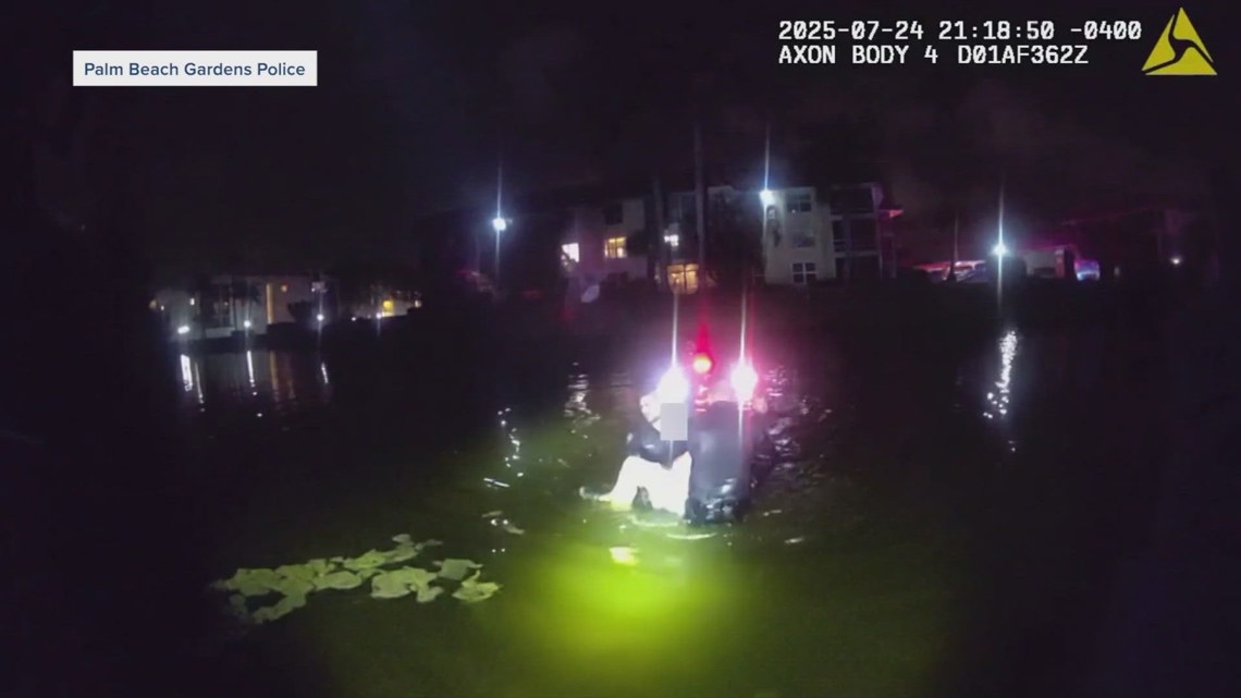 Florida police officers swim into alligator-infested waters to save ...