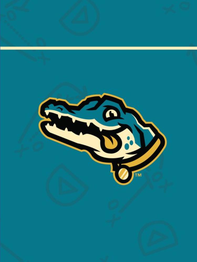National Lacrosse League unveils 'Jacksonville Swamp Pups' as name of ...
