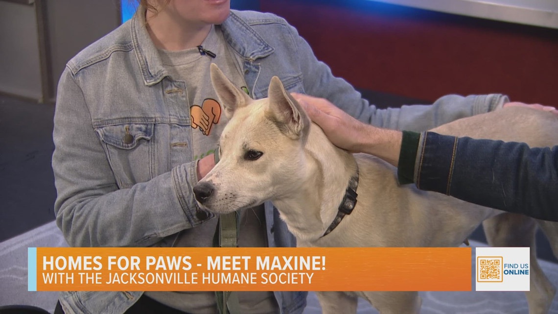 Homes for Paws with Jacksonville Humane Society | firstcoastnews.com