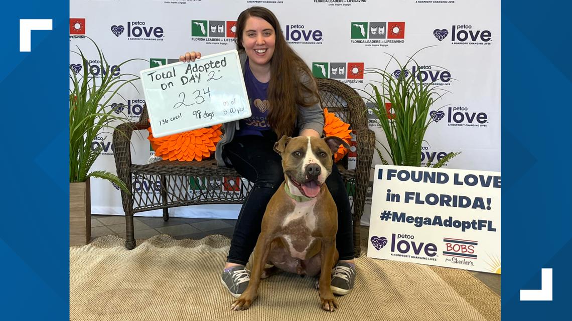 JHS: Nearly 500 pets adopted during 'Mega Pet Adoptions' event ...
