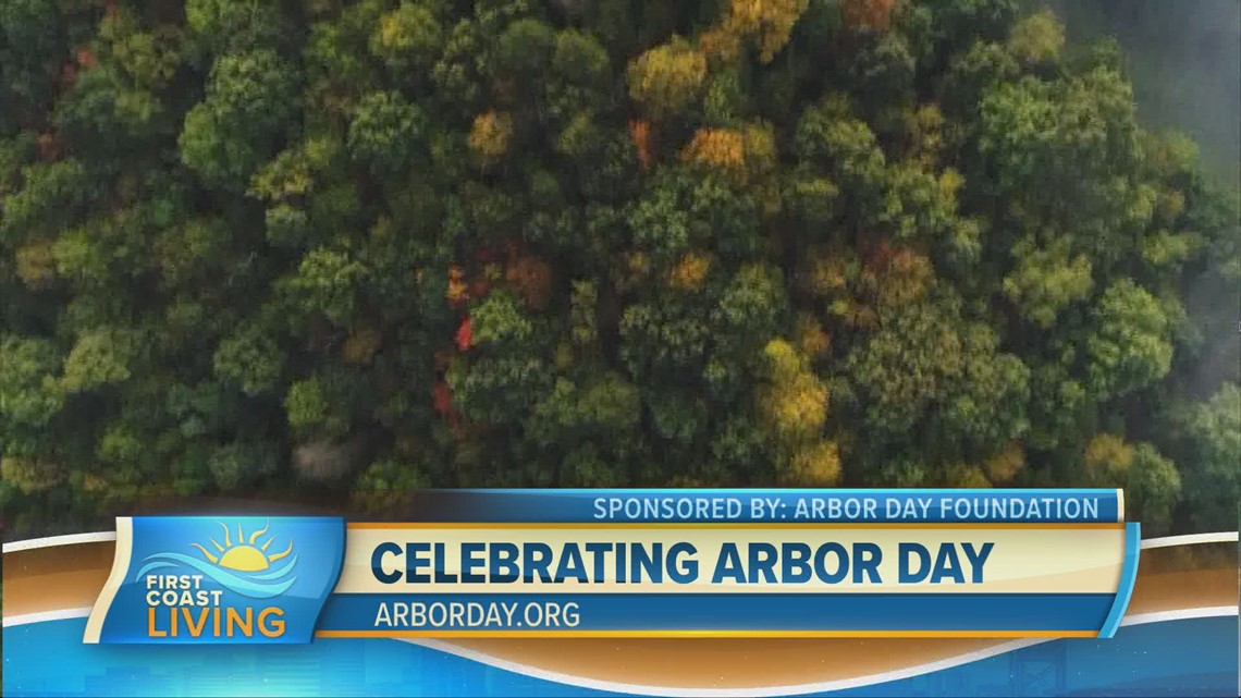 Arbor Day Foundation releases important new info on the importance of ...