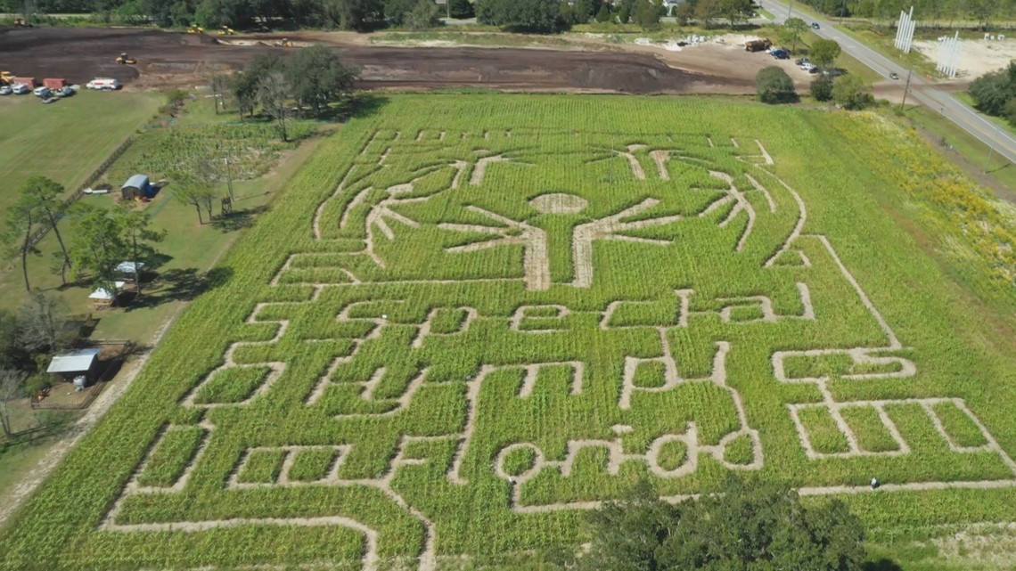 Amazing Grace Crop Maze in Green Cove Springs offers up tons of fall ...