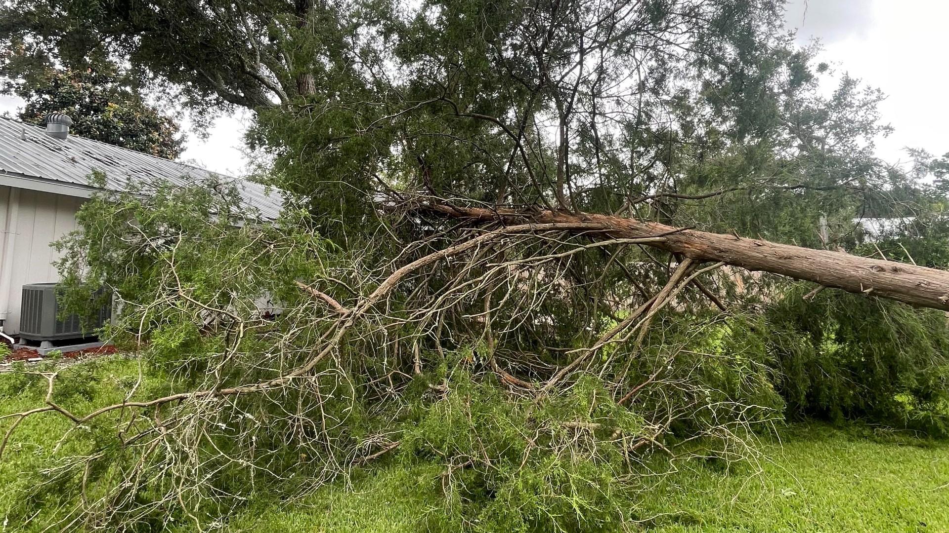 Idalia aftermath causes damage and destruction across First Coast ...