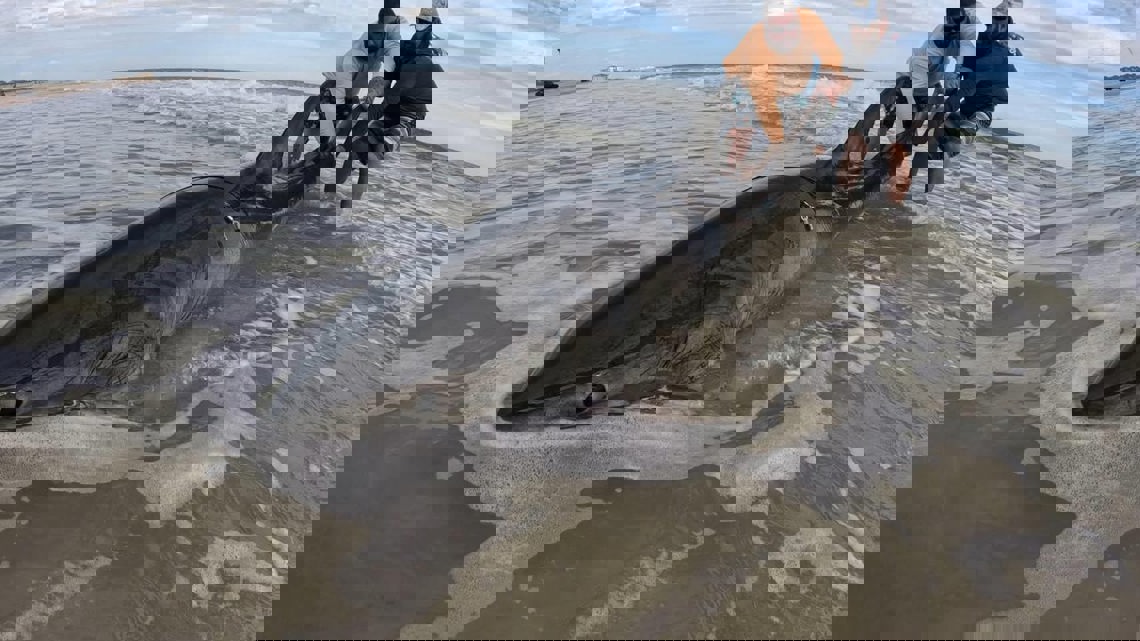 Man catches great white shark on Florida beach | firstcoastnews.com