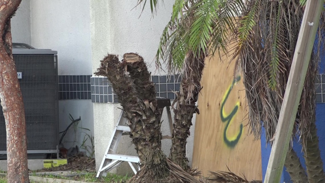 Florida burglary suspect shot by business owner, police say ...