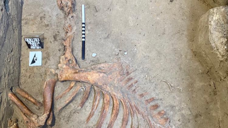 Major archaeological discovery found in St. Augustine, Florida ...