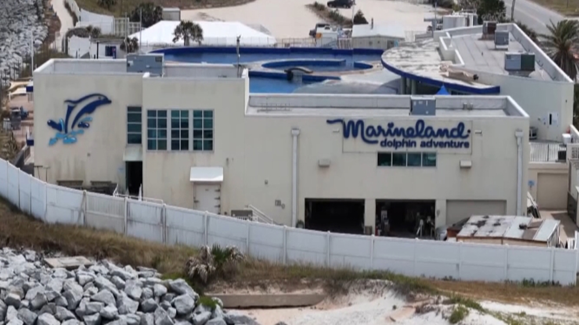 Judge approves sale of Marineland to group of dolphin professionals and ...