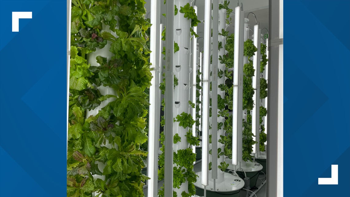 5 Points Farm offers aeroponic options for Riverside locals ...