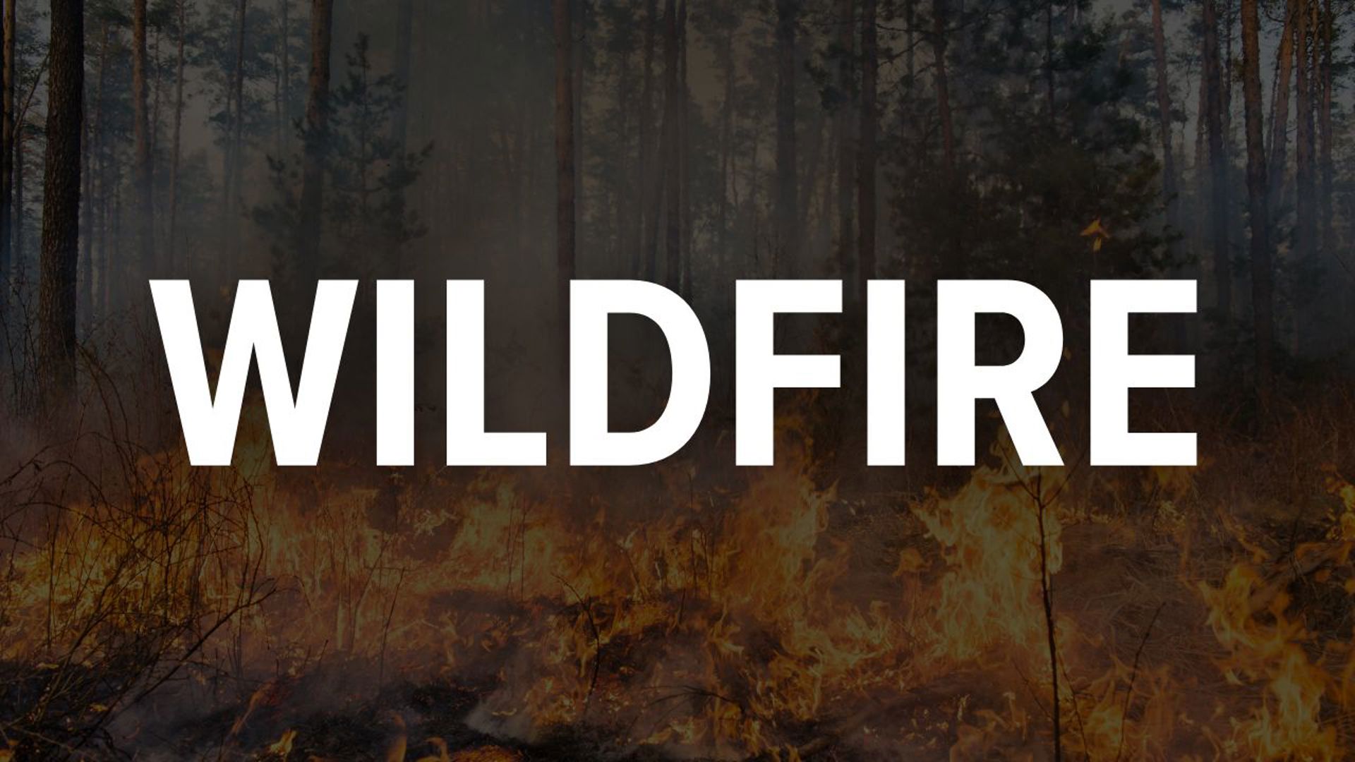 Wildfire could affect travel on US-17 in Jacksonville | firstcoastnews.com