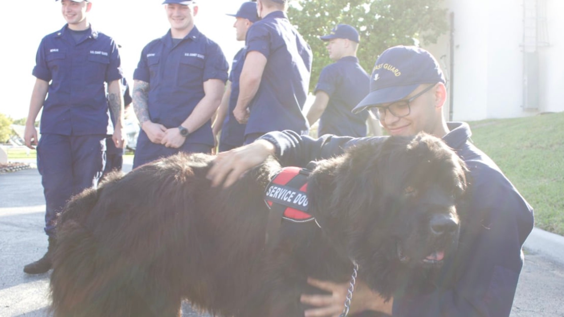 Water rescue dog holds demonstration in Ft. Lauderdale | firstcoastnews.com