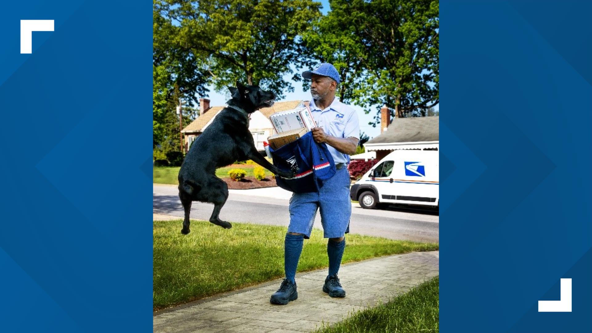 Jacksonville ranks third for dog attacks on Florida mail carriers ...