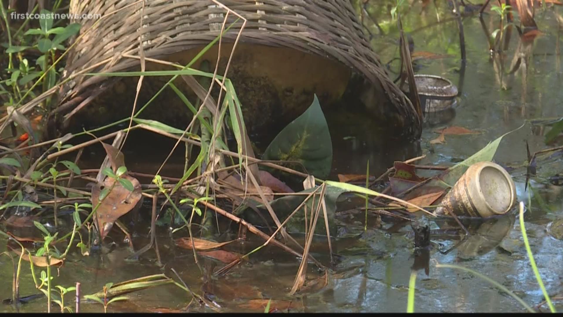 Homeowner asking city to clean up ditch full of trash | firstcoastnews.com