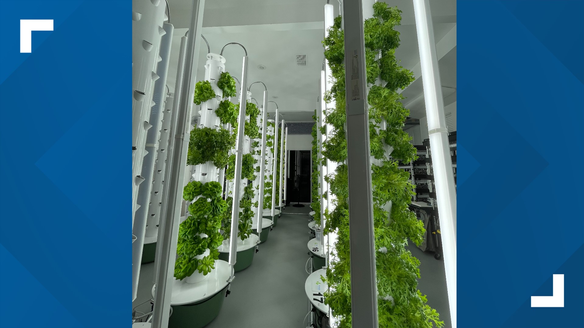 5 Points Farm offers aeroponic options for Riverside locals ...