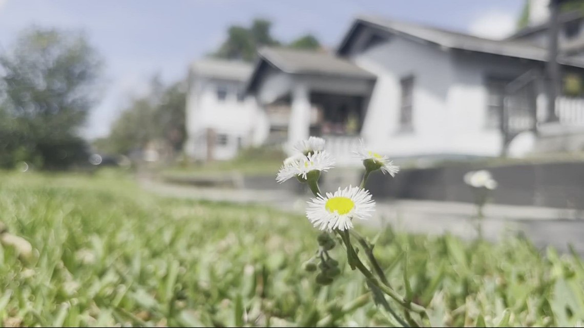 Homeowner insurance rates expected to skyrocket. Here are a few tips to ...