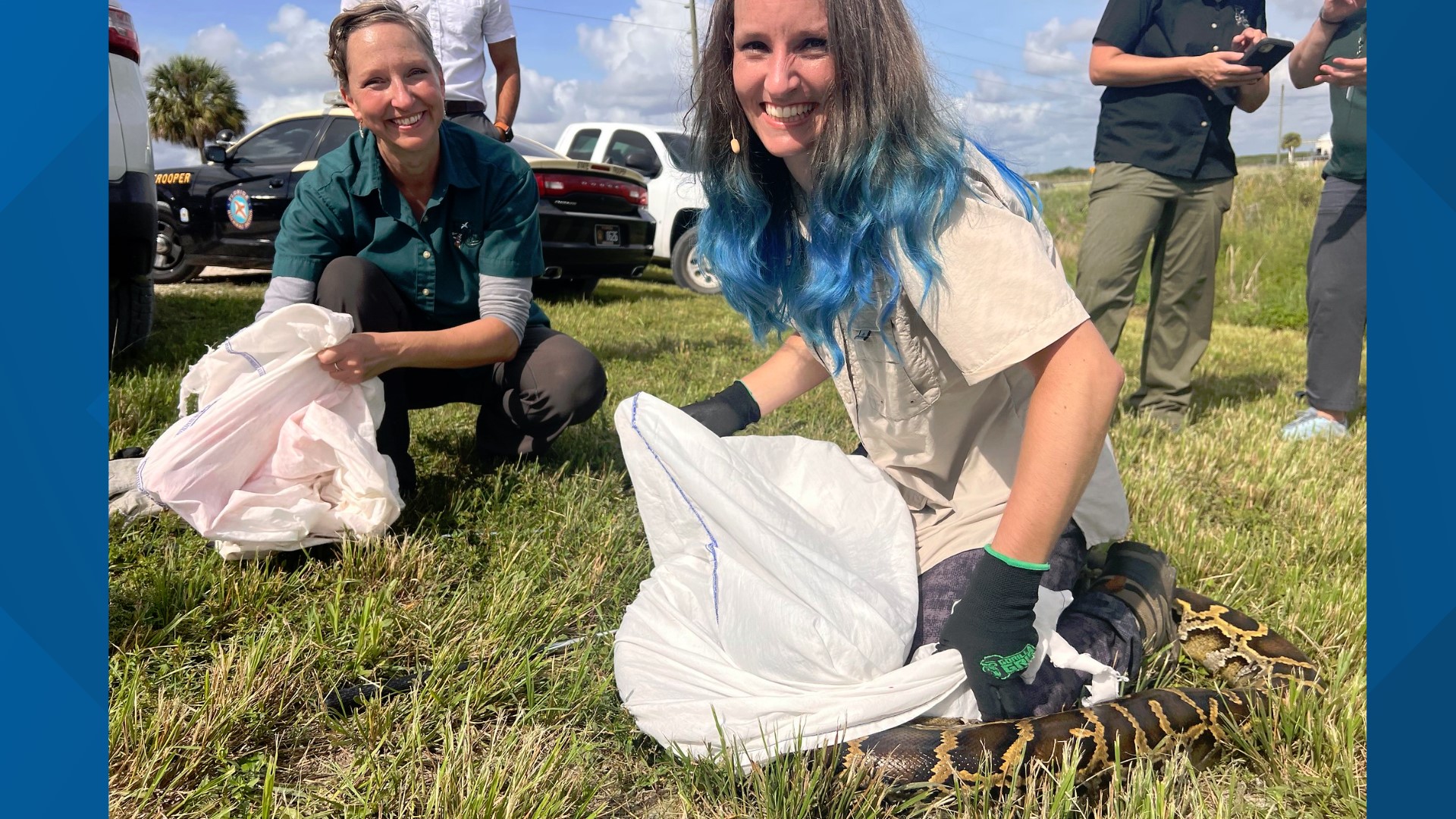 The 2022 Florida Python Challenge, time to snag those snake ...