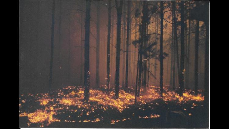 Looking back at when Florida had devastating wildfires | firstcoastnews.com