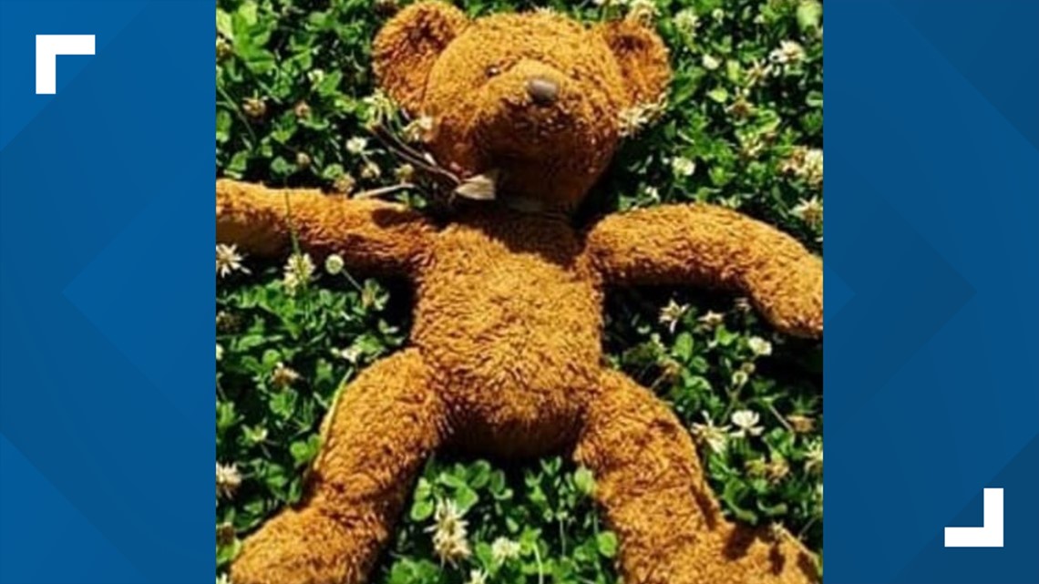 Illinois family missing special teddy bear lost in Florida ...