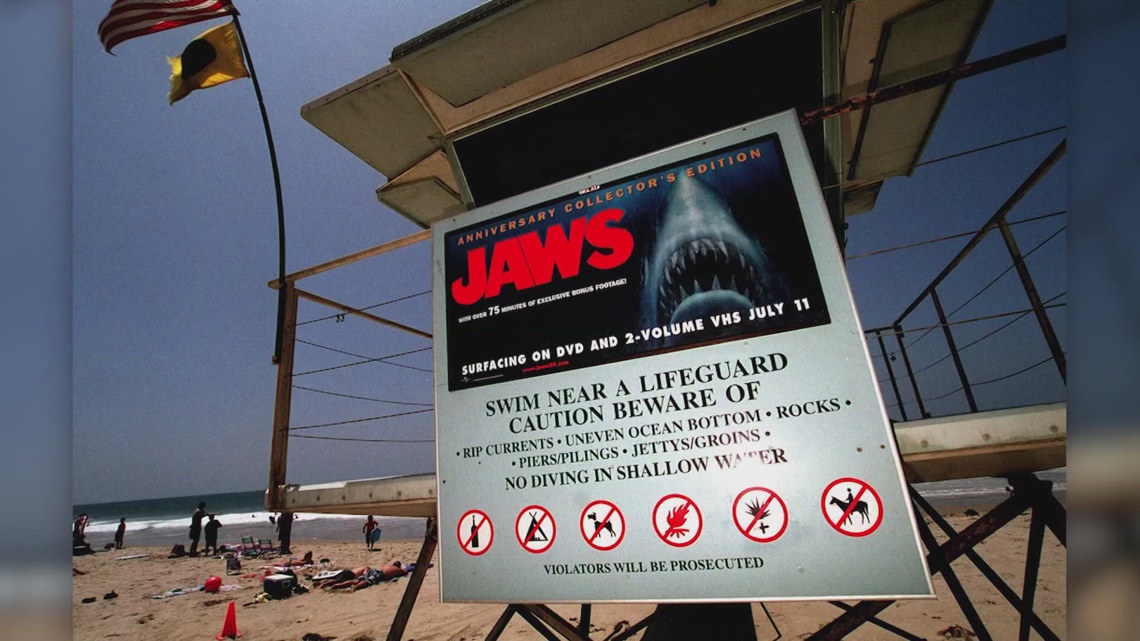 'Jaws' still gnaws at cinema: Spielberg's 50-year-old masterpiece ...