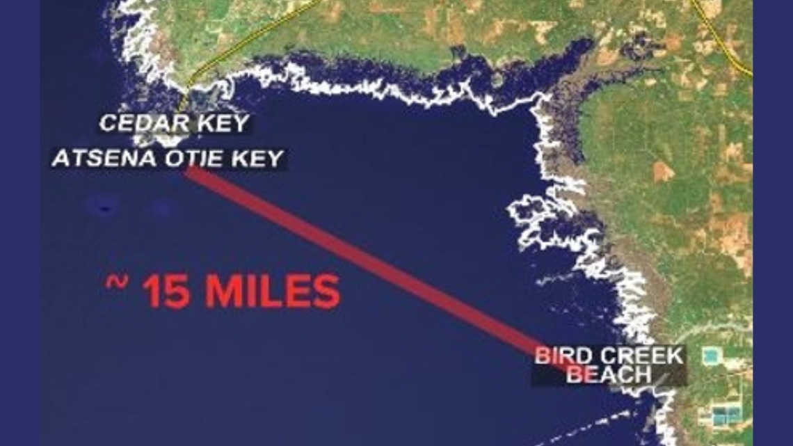 What teens who survived on paddleboard near Cedar Key endured ...