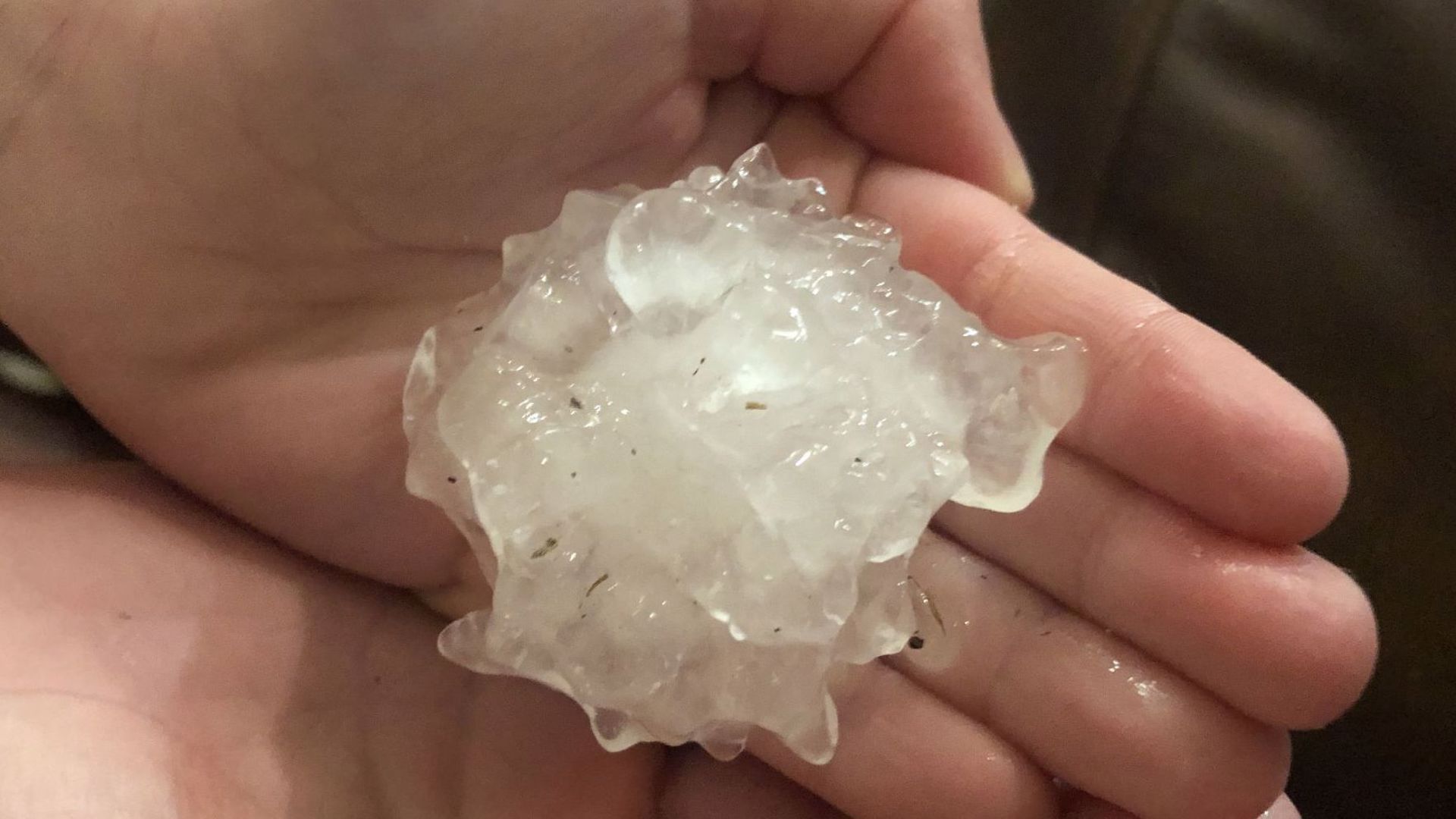 Giant hail falls along the First Coast | firstcoastnews.com