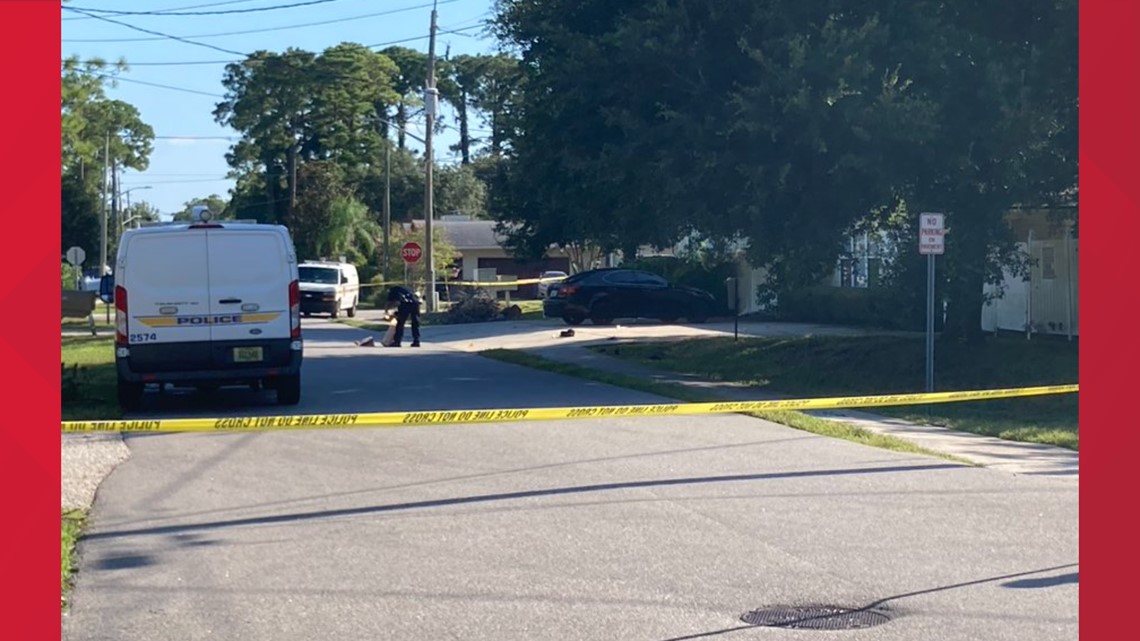 Dr. Diana Greene ready to be the next DCPS superintendent ...