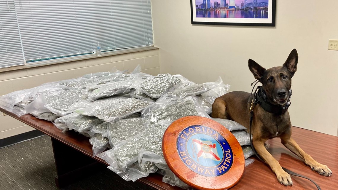 K9 finds 6 suitcases worth of marijuana during traffic stop ...