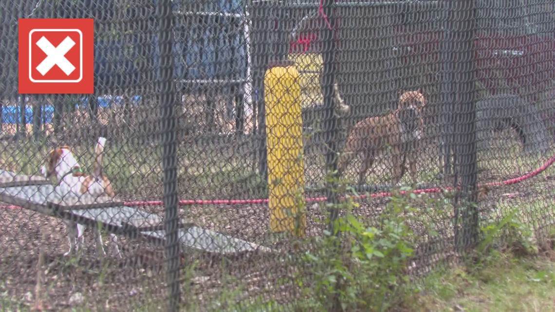 Is Jacksonville’s ACPS shelter a no-kill shelter | firstcoastnews.com