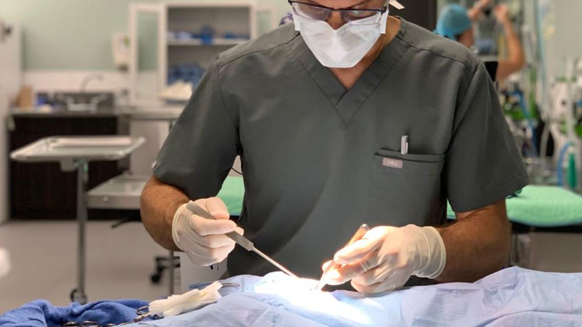 Operation Big Fix: Clinic launches free spay and neuter program for ...