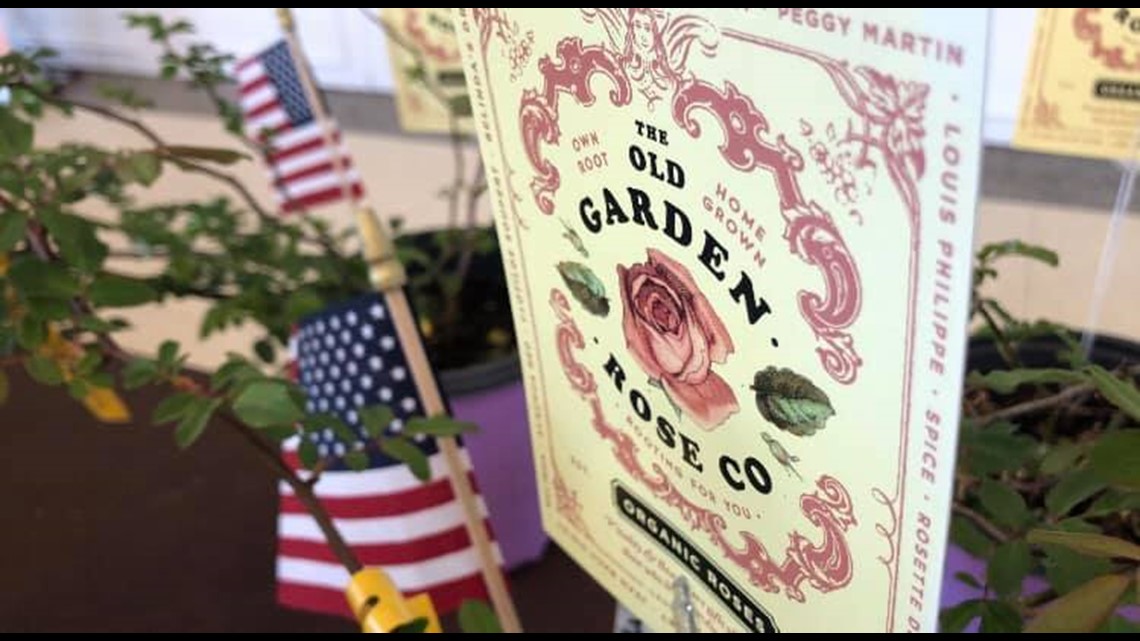 Rose therapy helping veterans work through trauma | firstcoastnews.com