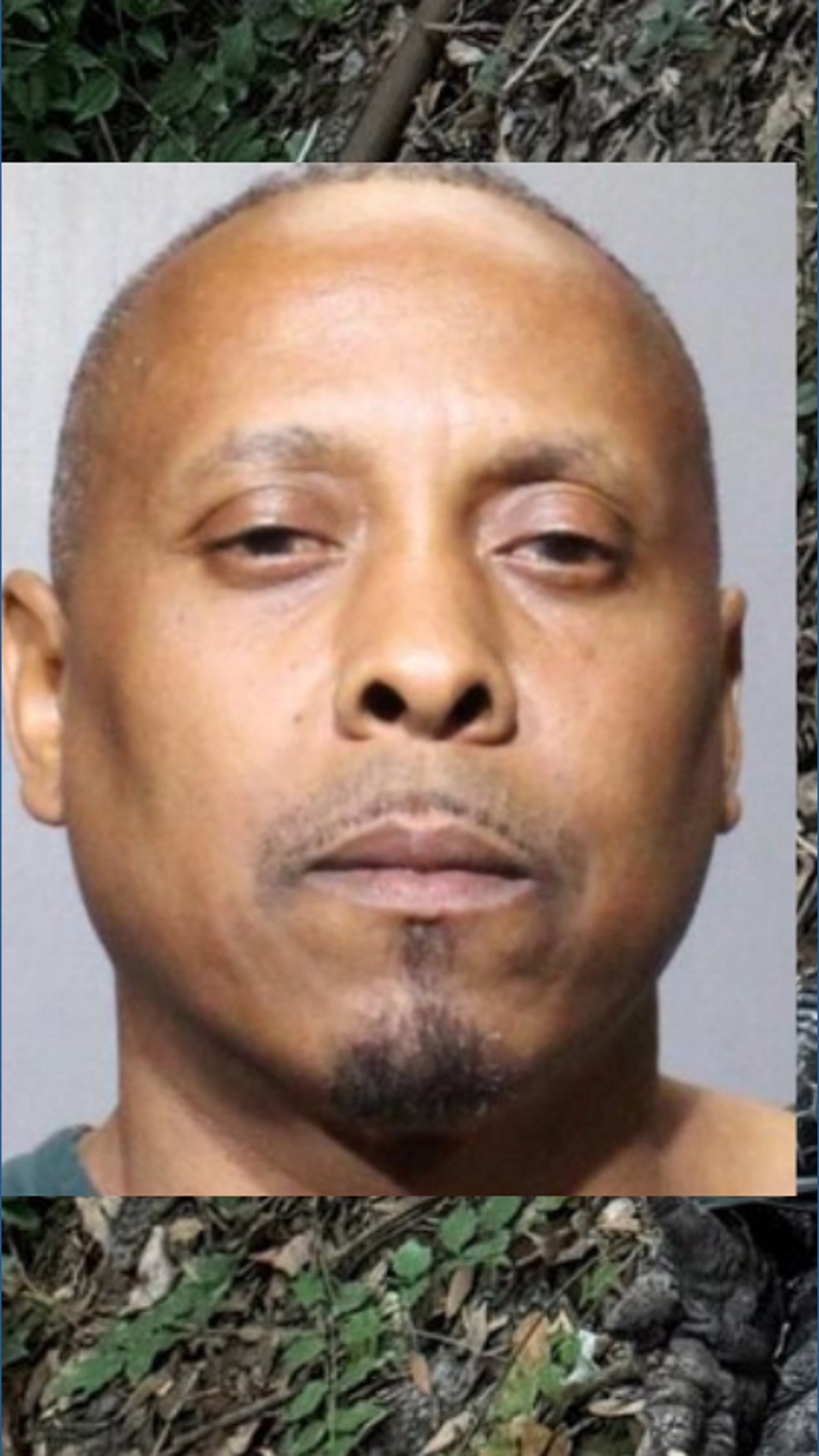 Jacksonville drug search uncovers animal abuse charges, found illegal ...