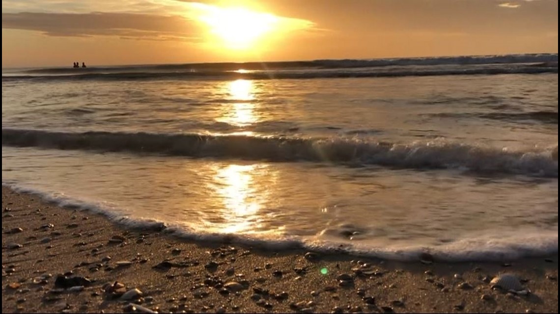 'Stop eating a credit card's worth of plastic': A look at FL bill ...