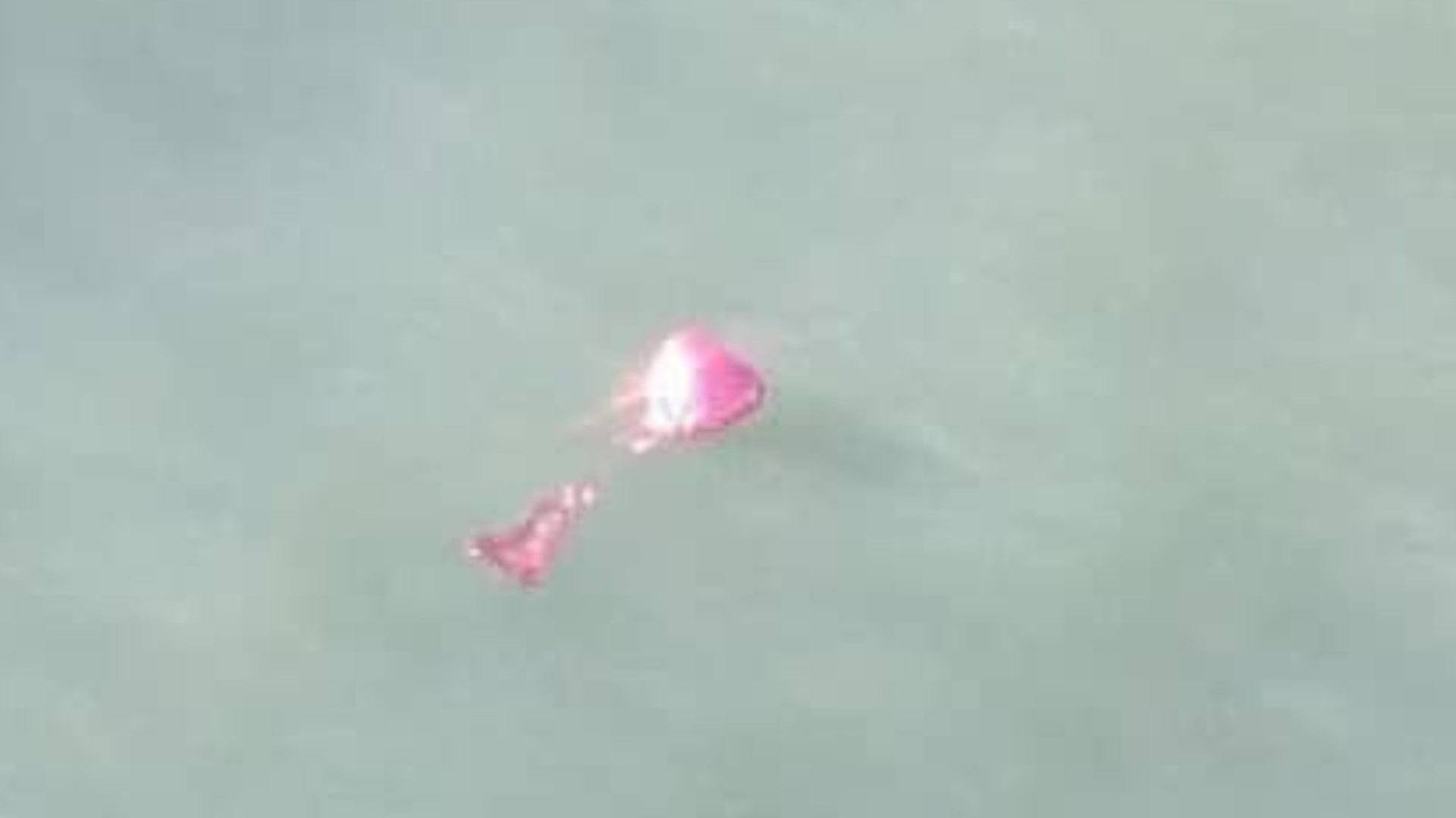 What we know about photo possibly linked to missing Carol Ann ...