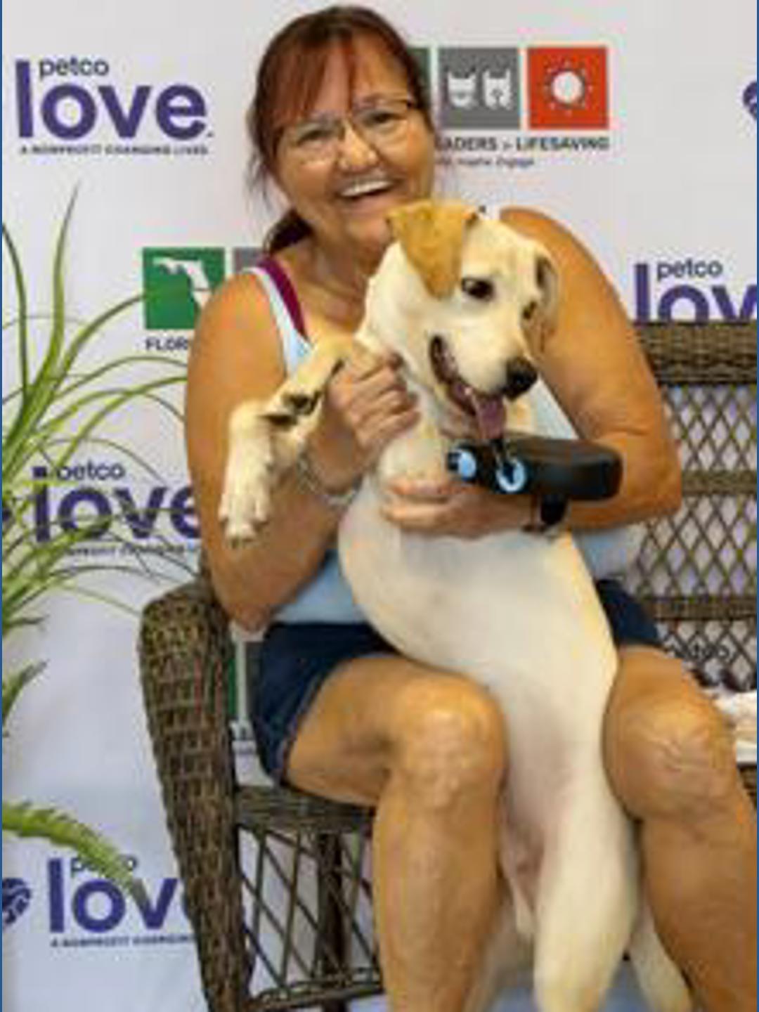 Florida MEGA Pet Adoption Event | Hundreds of dog and cat adoption fees ...