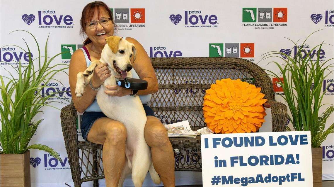 Florida MEGA pet adoption event | Hundreds of dog and cat adoption fees ...