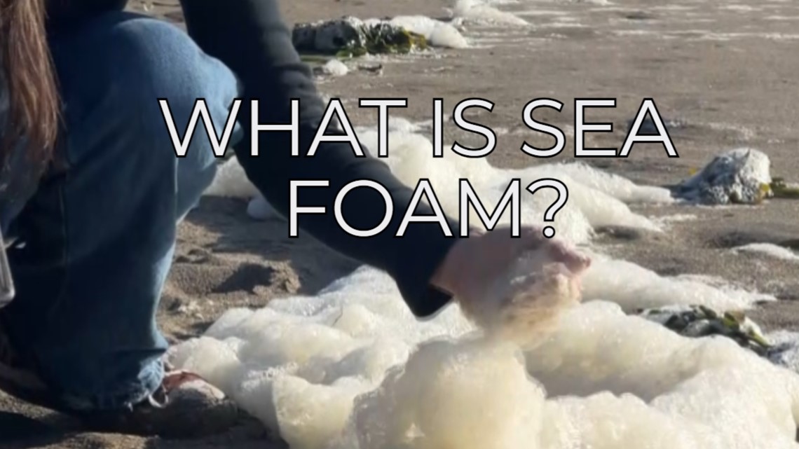 Here's what causes sea foam on beaches | firstcoastnews.com