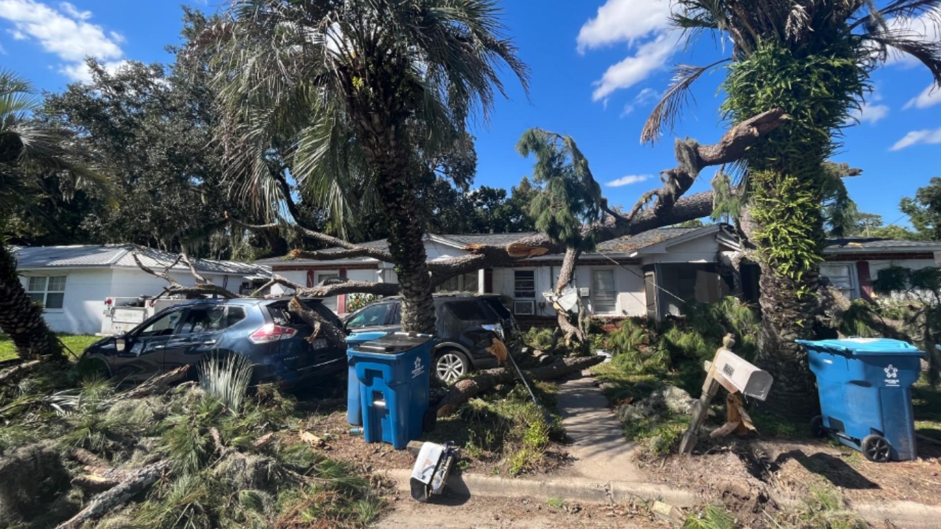 What to do with tree branches, yard debris after Hurricane Helene ...