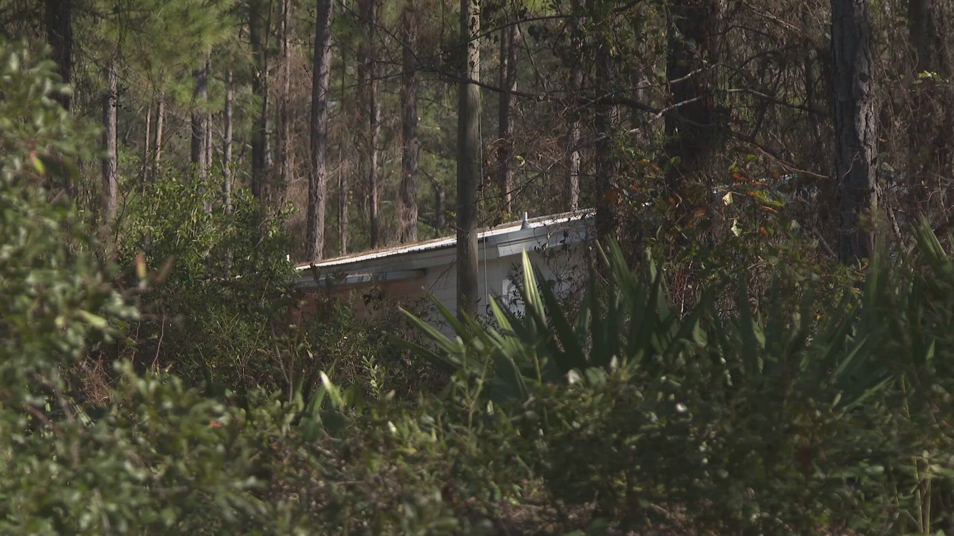 'Deliberate act': ACPS seeks suspects after dog found abandoned, dying ...