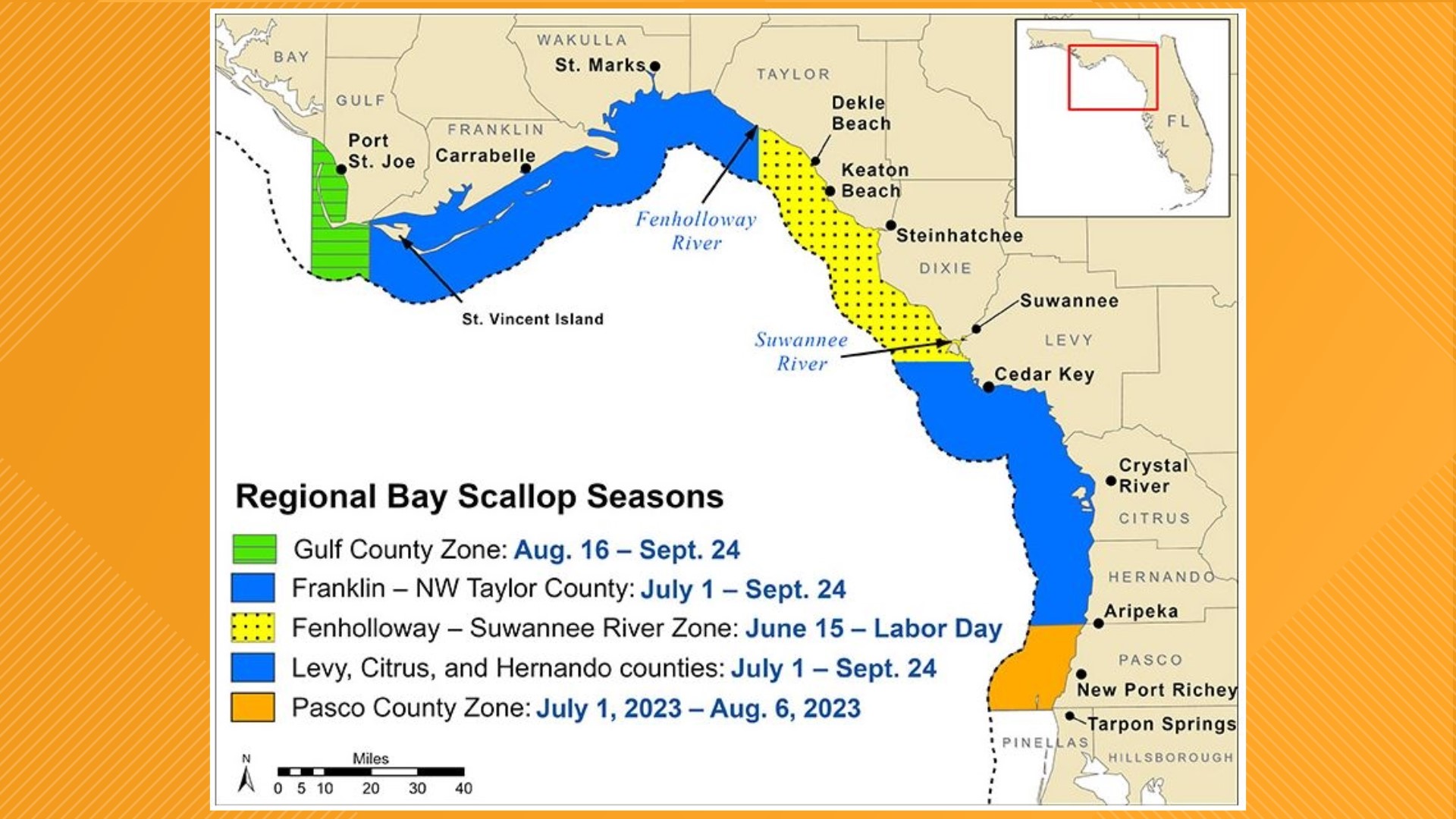 It's scallop season! Here's your guide to having a successful trip ...