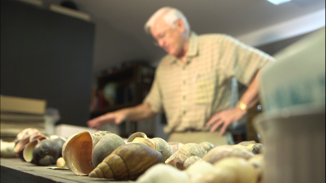 World's largest private shell collector is giving away his life's work ...