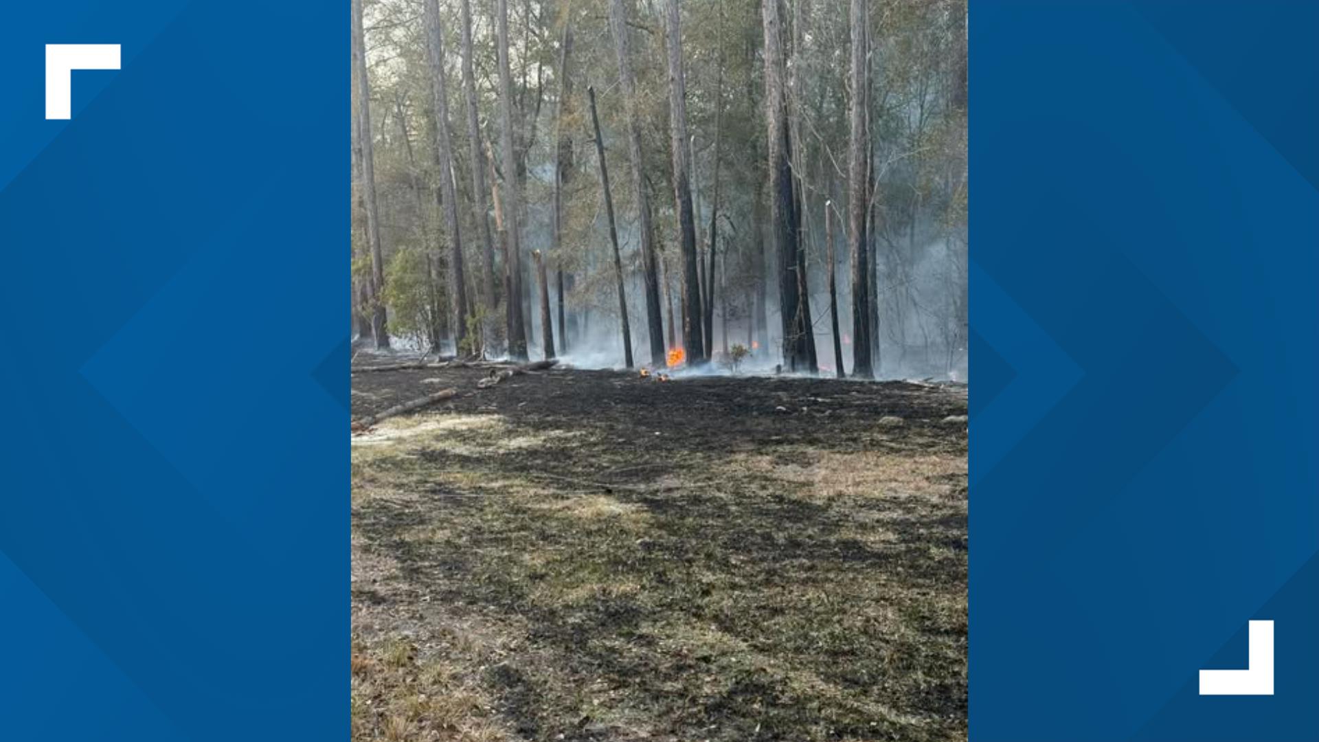 Fallen tree in Starke causes power outage and brush fire, officials say ...