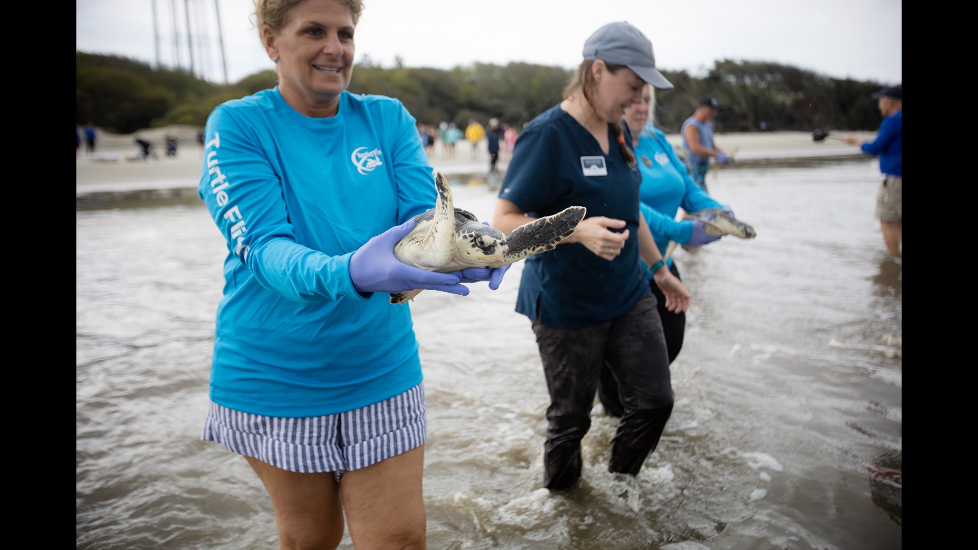 Record-breaking sea turtle release on Jekyll Island, Georgia ...