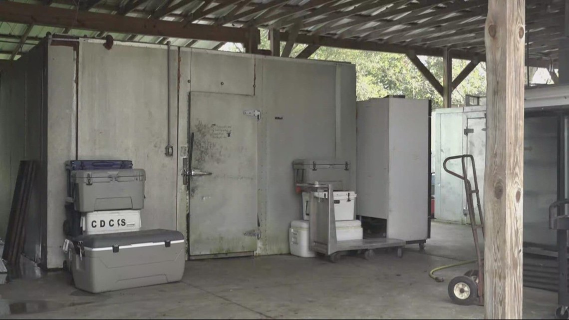 Dozens of charges issued against owner of slaughterhouse ...