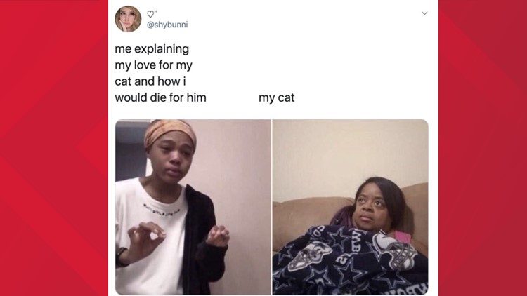 Best memes of 2019 | firstcoastnews.com