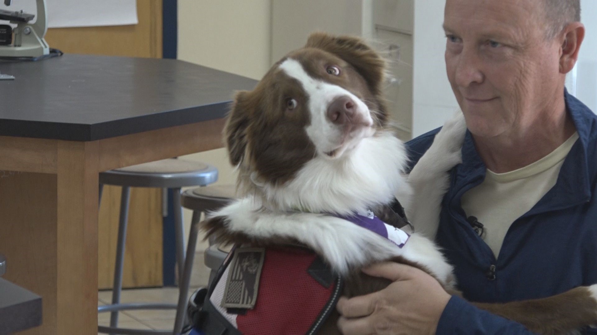 How does K9s For Warriors help military veterans? | firstcoastnews.com