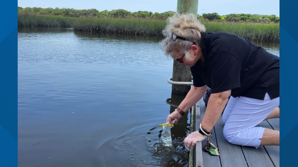 Nassau County water quality alert Alligator Creek due to E. coli ...