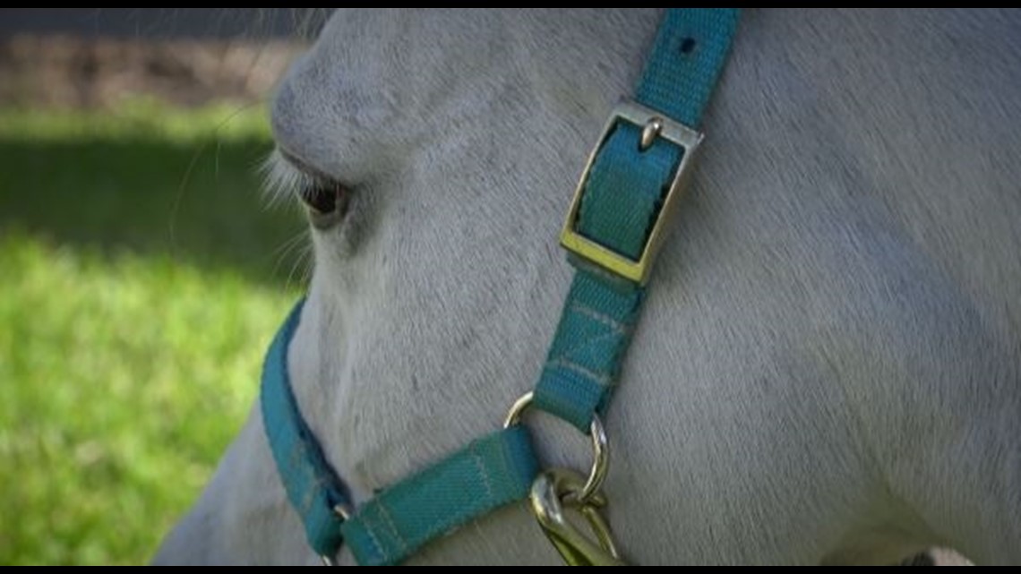 ADAPT Program at Nemours graduates its first patient | firstcoastnews.com