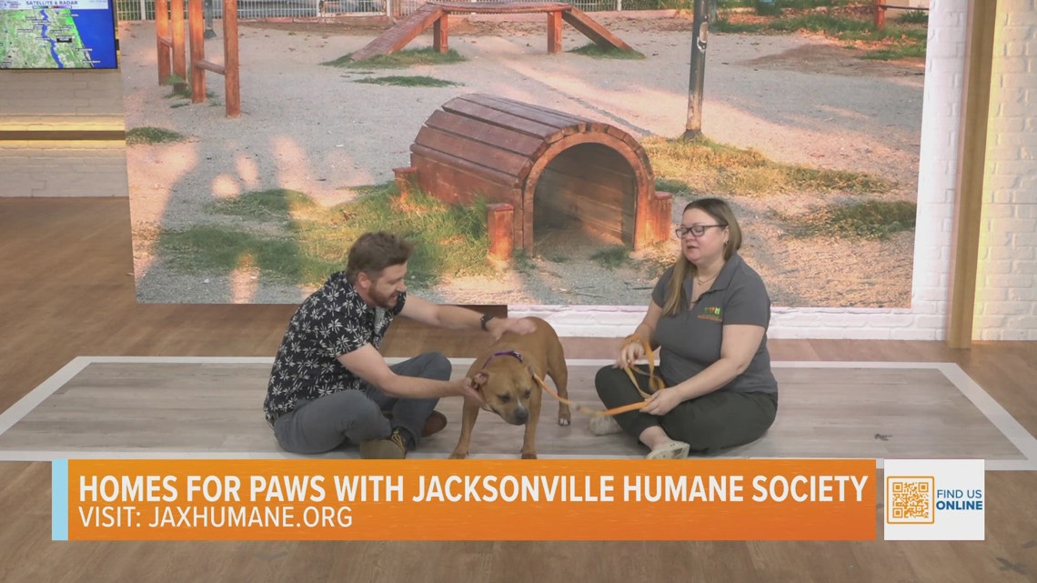 Homes for Paws with Jacksonville Humane Society | firstcoastnews.com