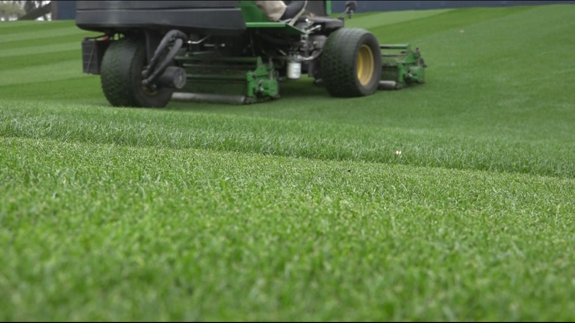 The turf at TPC Sawgrass is so highly dependent on the weather ...