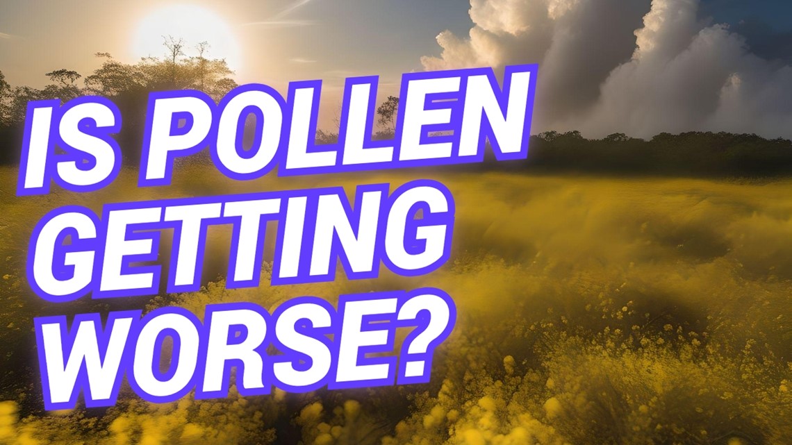 Climate change and pollen on the First Coast | firstcoastnews.com
